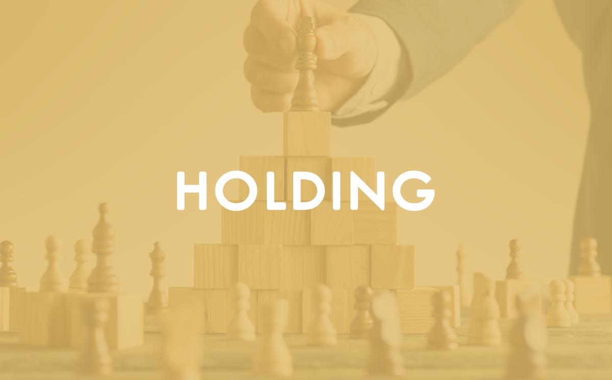 ¿Qué Es Un Holding Y Cómo Funciona – LRPJJK